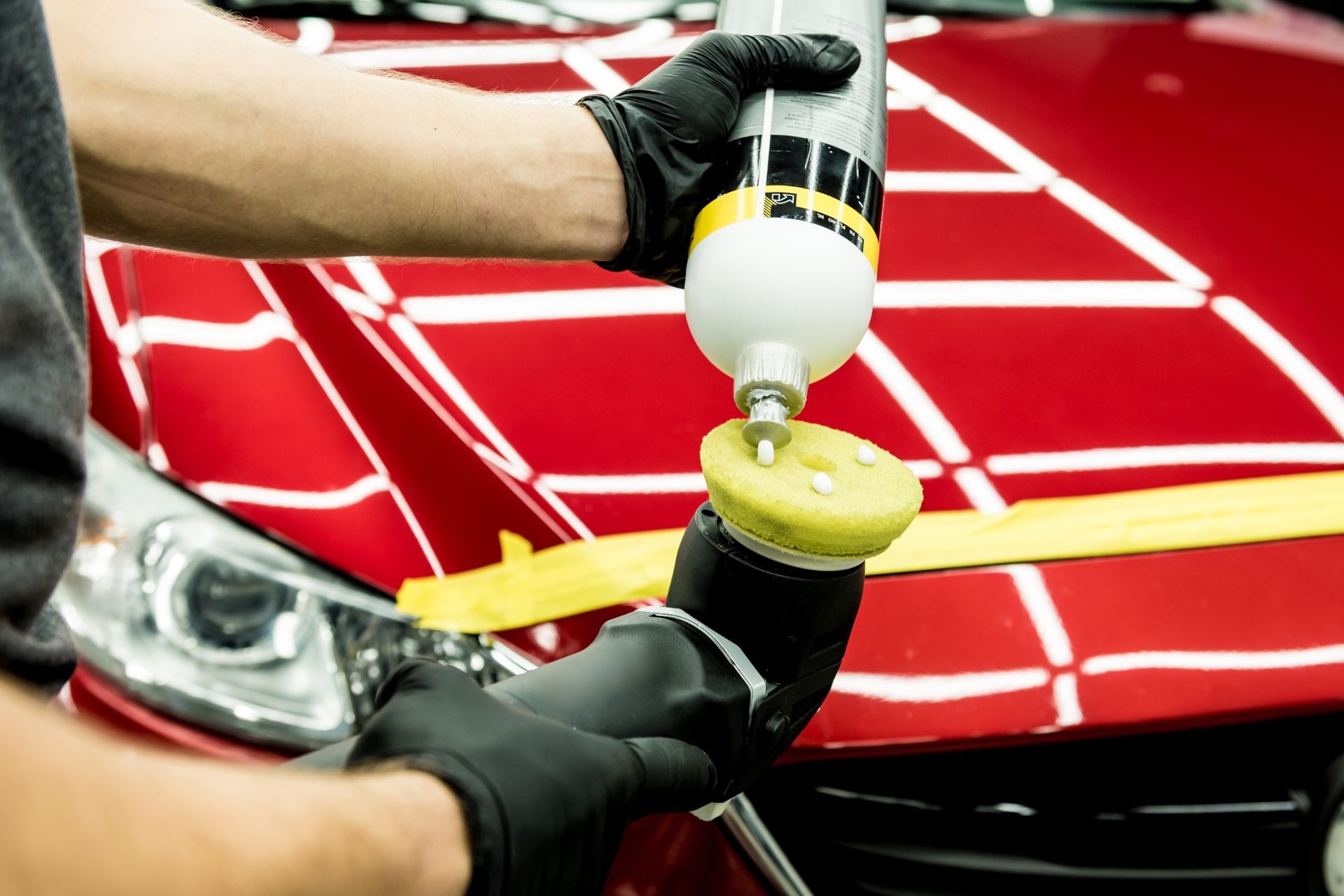 Paint Correction St. Petersburg FL | Auto Luxe